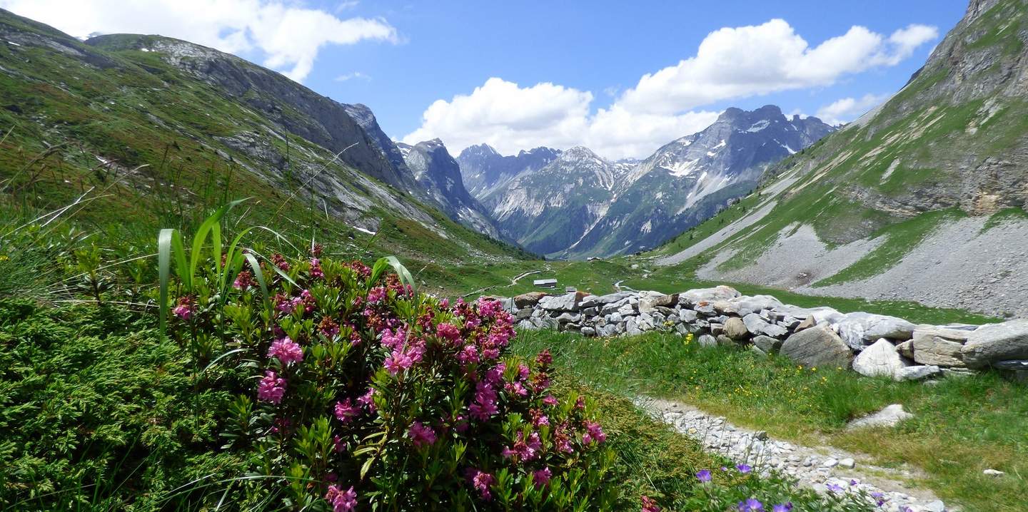 How to get to the Huttopia Vanoise - Bozel Campsite