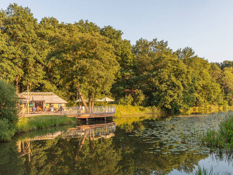 Campsite Huttopia De Roos | Natururlaub Niederlande, Overijssel